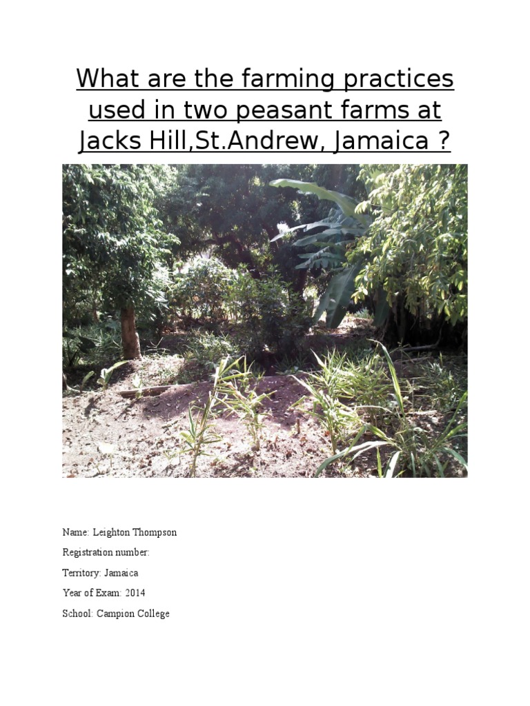 Geo sba | Crop Rotation | Agriculture