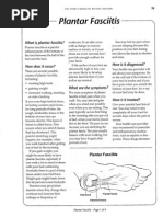 Lower Extremity Stretching Home Exercise Program (Article) Author ...