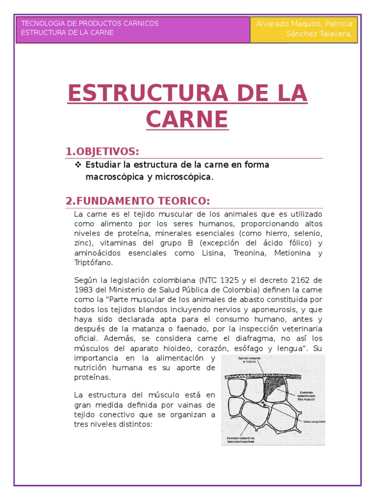 Estructura de La Carne | PDF | Músculo | Carne