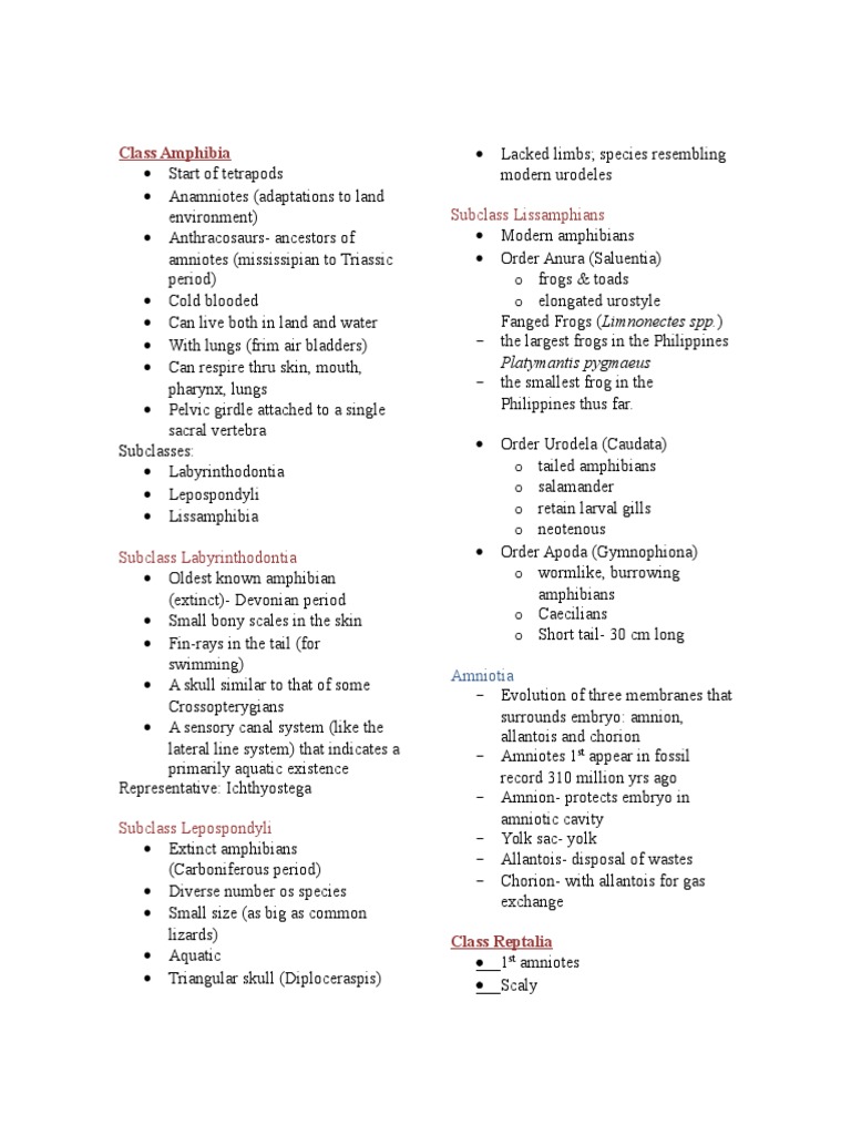 Class Amphibia Mammalia | PDF | Amphibian | Marsupials