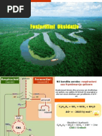 Adresari I Mjekëve Specialist Në QSUT | PDF