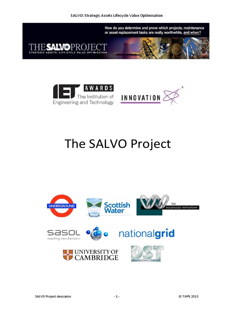 SALVO Project Innovations Descriptor v2 | PDF | Product Lifecycle ...