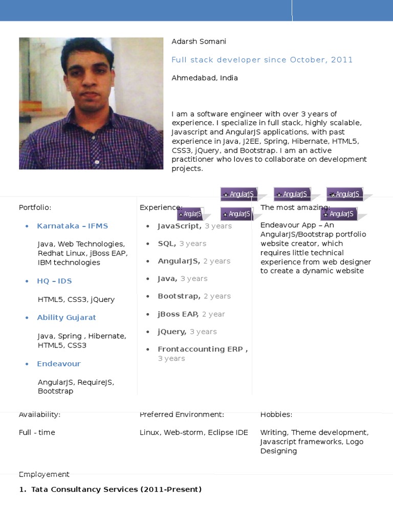 Full Stack Developer Adarsh Somani Portfolio | PDF | Web Application | Angular Js