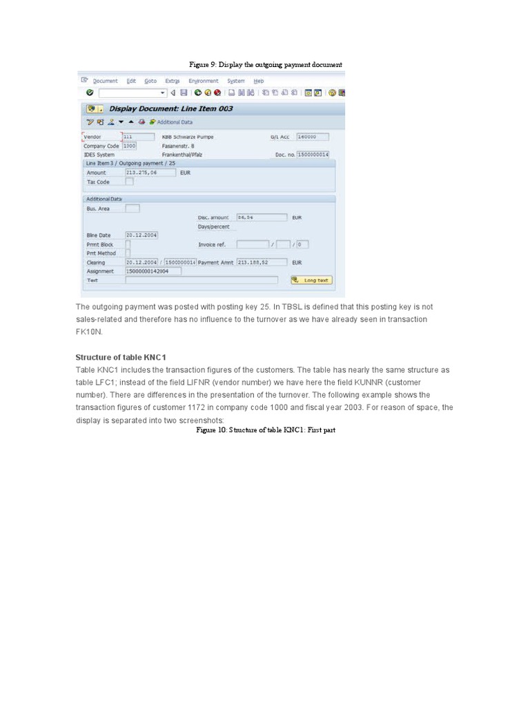 Figure 9: Display The Outgoing Payment Document: Structure of Table ...