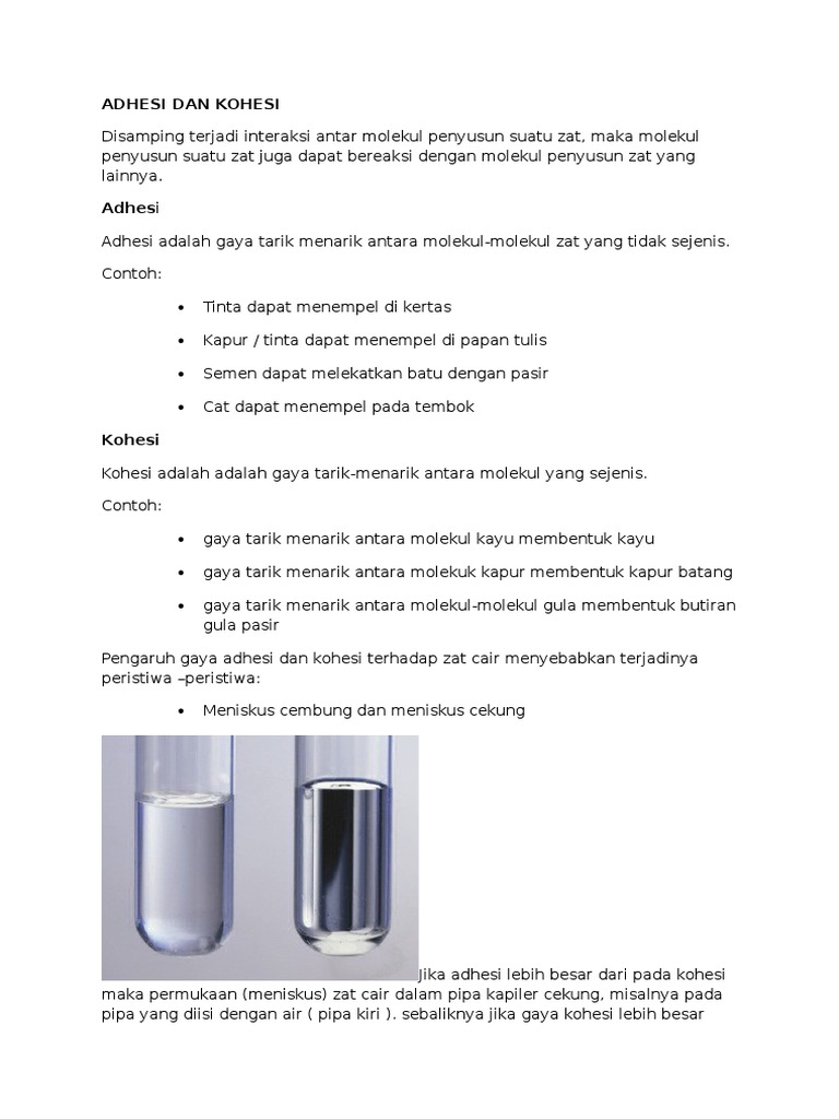 Adhesi Dan Kohesi | PDF