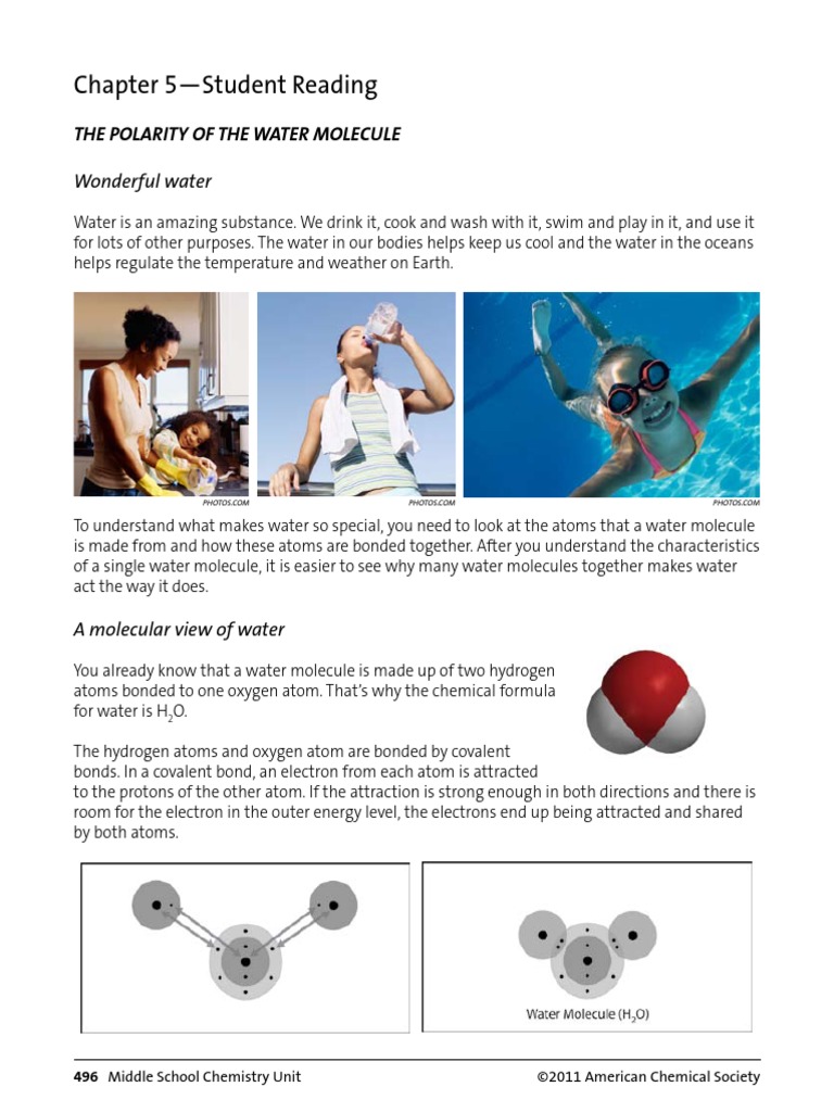 Water, Polarity, and Dissolving - Student Reading | PDF | Properties Of ...