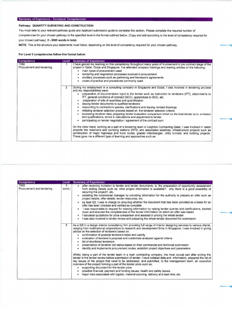 Sample Summary of Experience | PDF