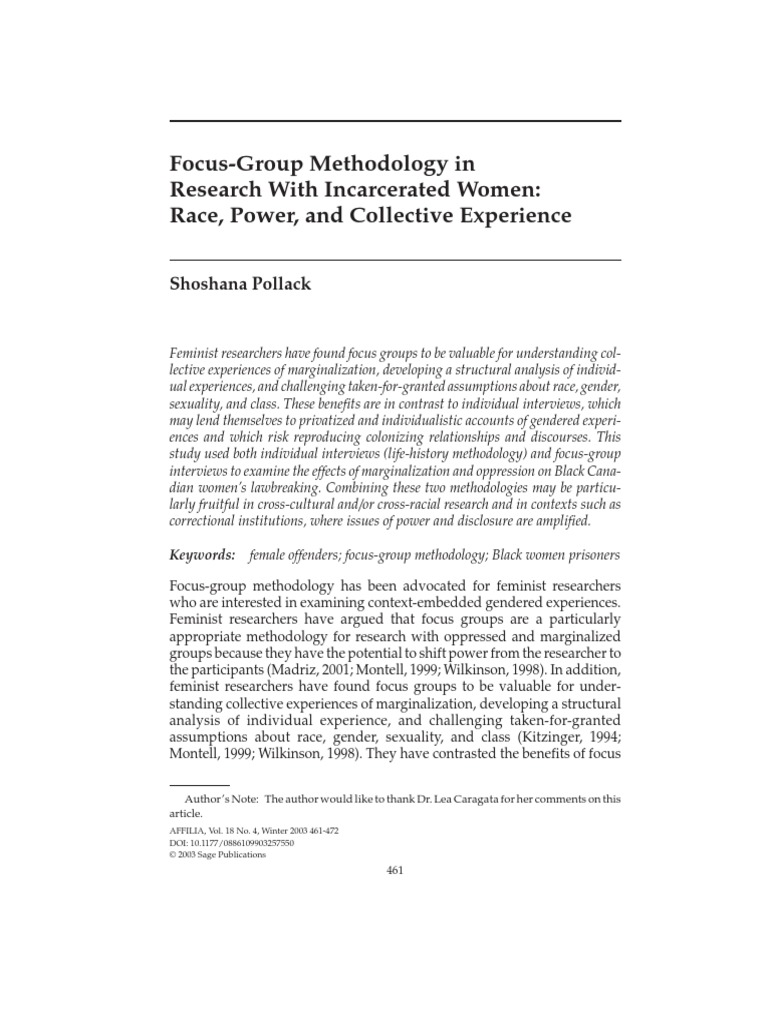 Focus Group Methodology PDF | PDF | Social Exclusion | Prison