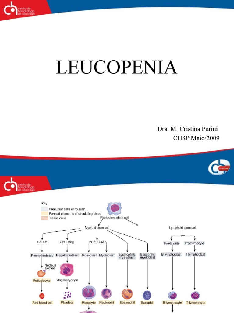 Leucopenia | PDF