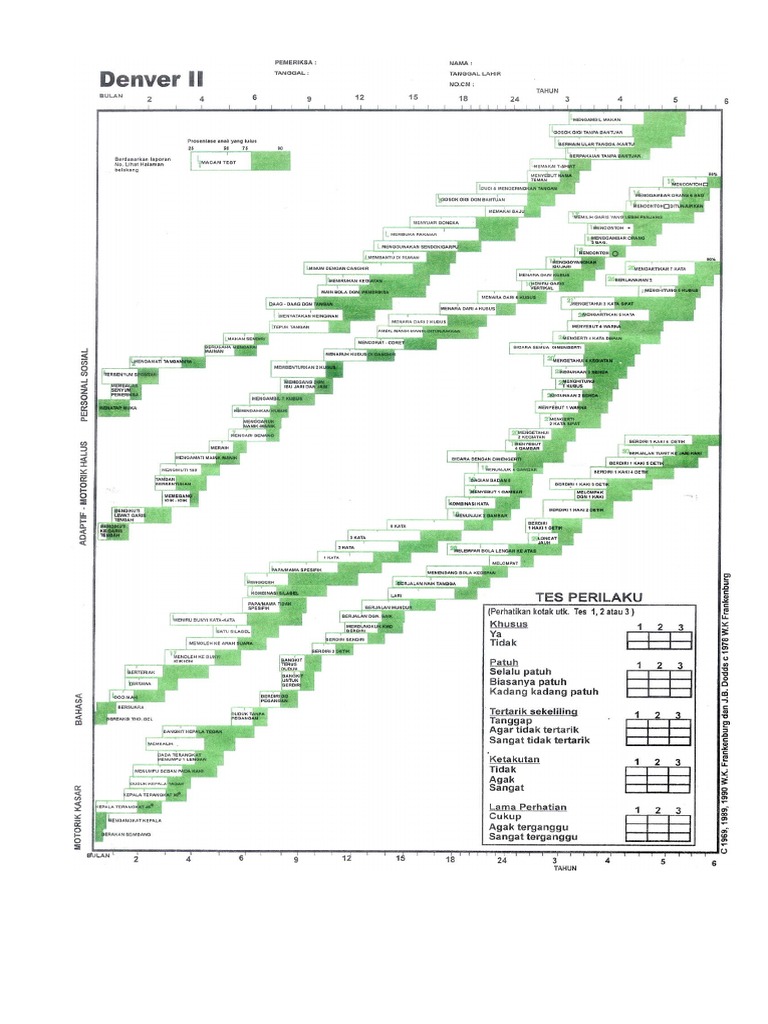 Denver Ii Screening Tool Printable