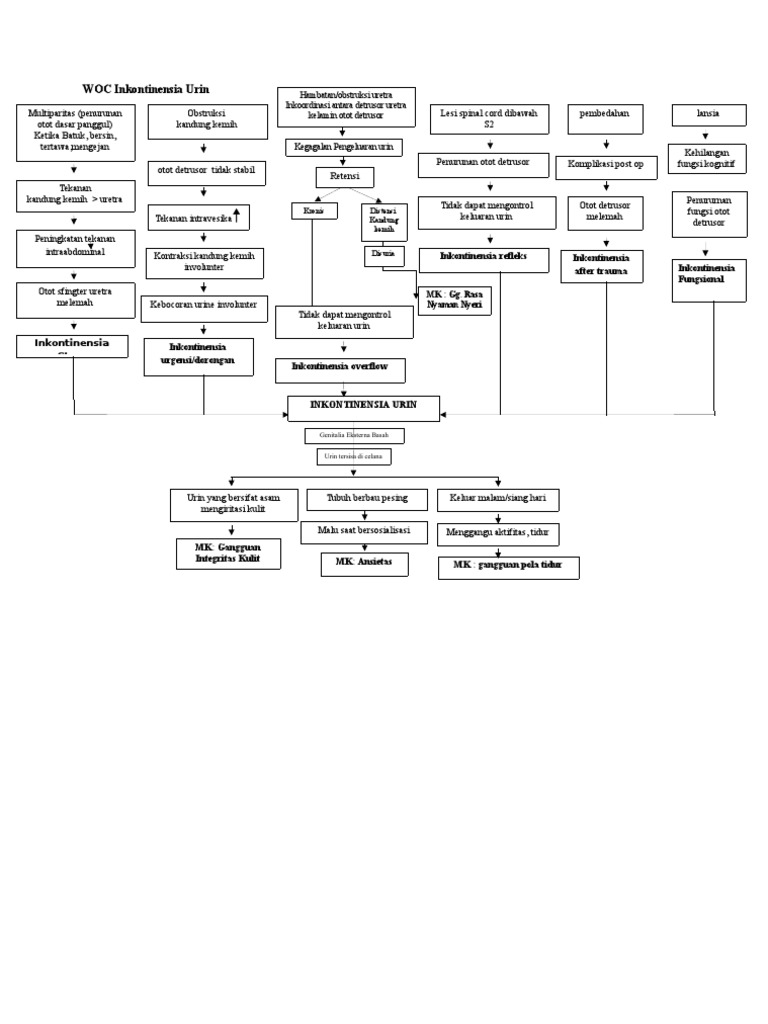 WOC Inkontinensia Urin | PDF