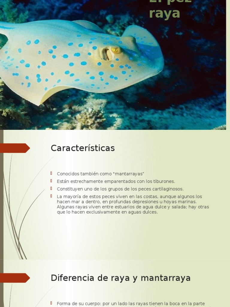 El Pez Raya | PDF | Pescado | Bienestar
