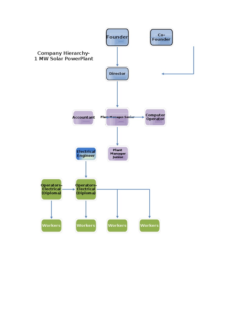 Company Hierarchy-1 MW Solar Powerplant: Founder | PDF | Technology ...