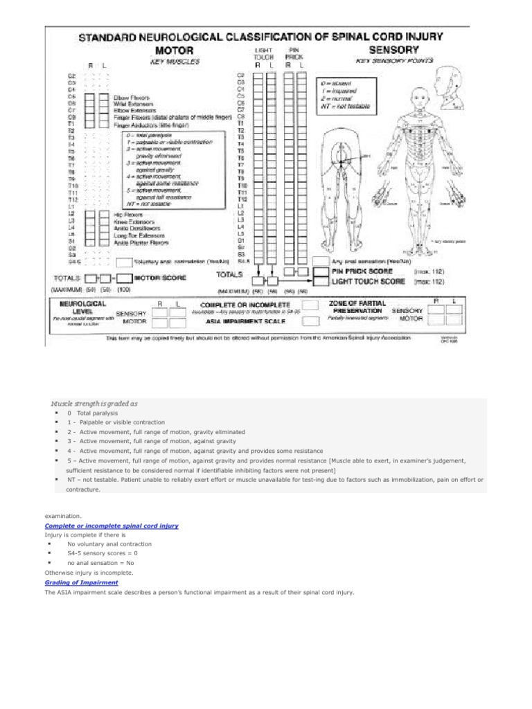 ASIA score.doc | Vertebral Column | Spinal Cord