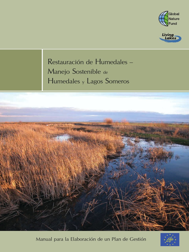 restauración de humedales- manejo sostenible de humedales y lagos ...