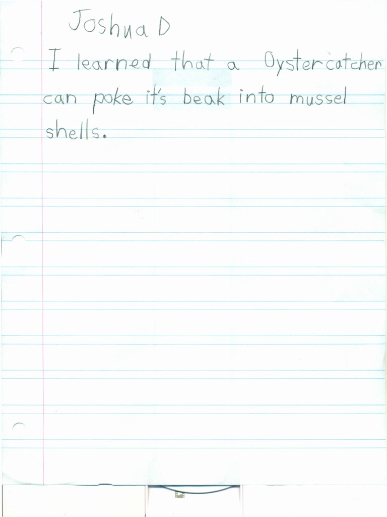 Josh Reading Assessment | PDF