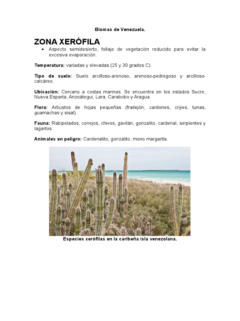 Biomas de Venezuela | PDF | Selva | Venezuela