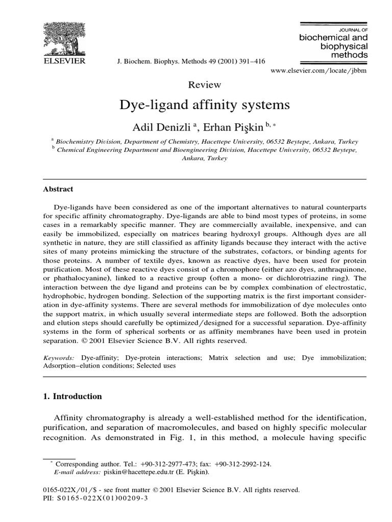 Dye-Ligand Affinity Systems | PDF | Adsorption | Chromatography