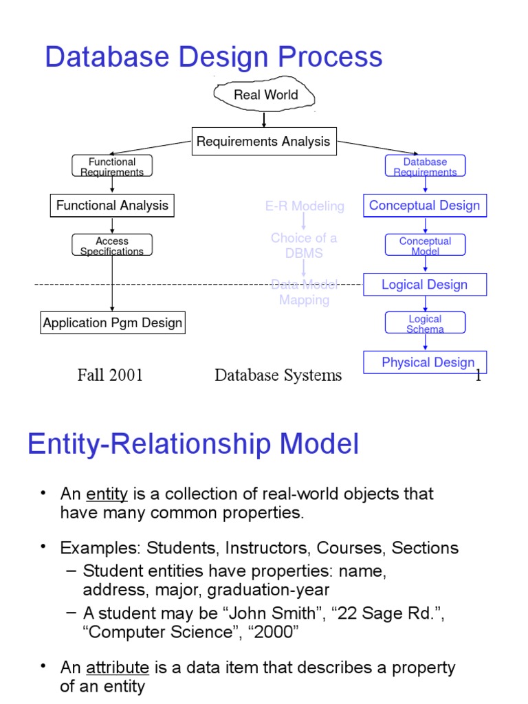 Database Design Process | PDF | Relational Model | Databases