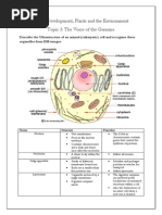 Bio - Cells - Amoeba Sisters Intro KEY | PDF | Cell (Biology) | Eukaryotes