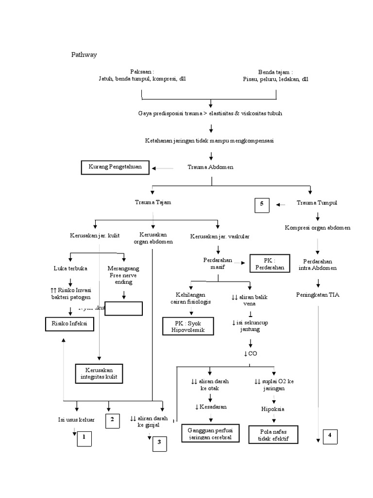Pathway trauma tumpul abdomen