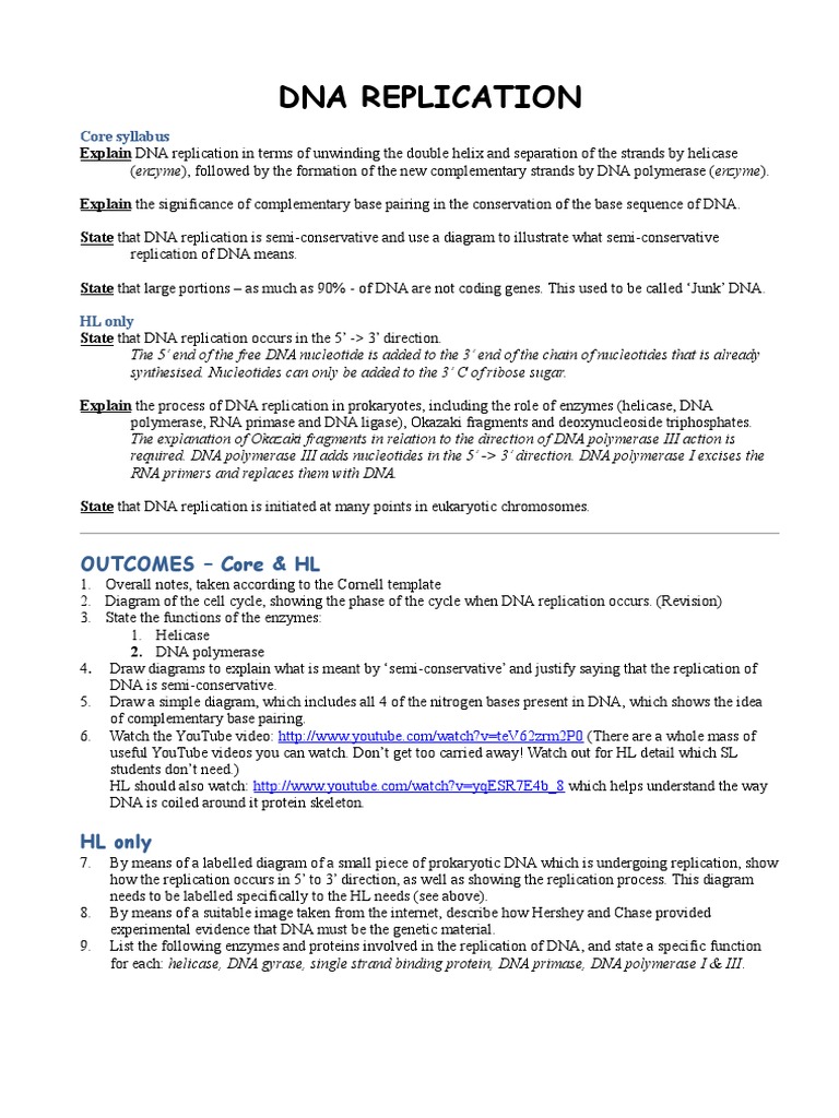 Dna Replication Worksheet | PDF | Dna Replication | Dna