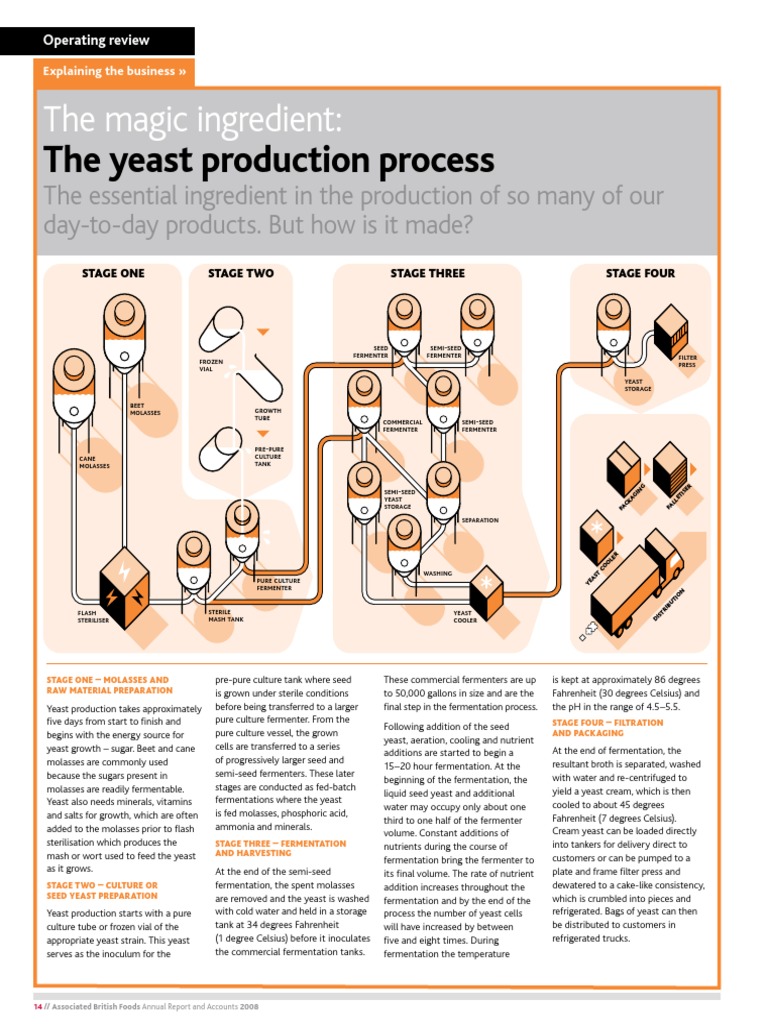 Yeast Production Process | Brewing | Yeast | Free 30-day Trial | Scribd