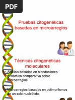 Microarreglos en Biología Molecular | PDF | Adn Microarray | Cáncer