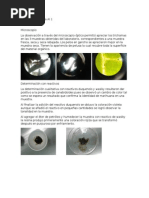 Enzima Invertasa | PDF | Sacarosa | Química