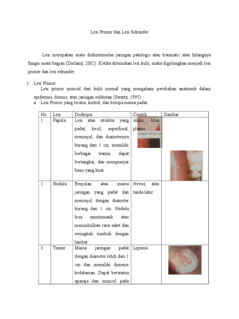 Jenis Lesi Kulit Primer dan Sekunder | PDF | Sains & Matematika