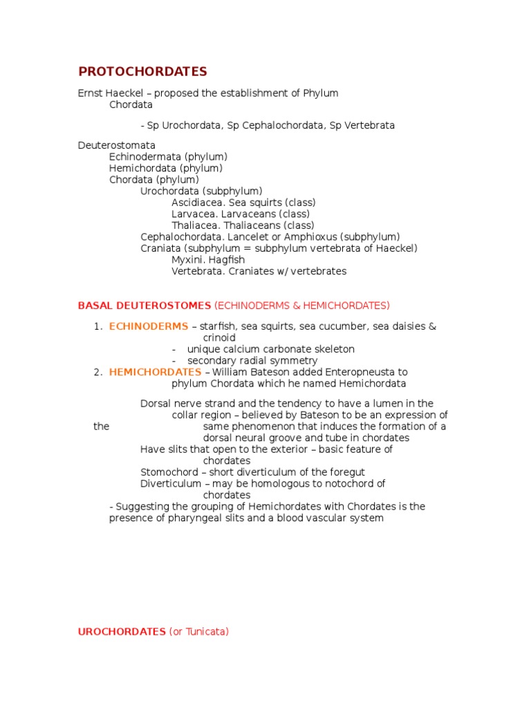 Protochordates Reviewer | PDF | Zoology | Chordates