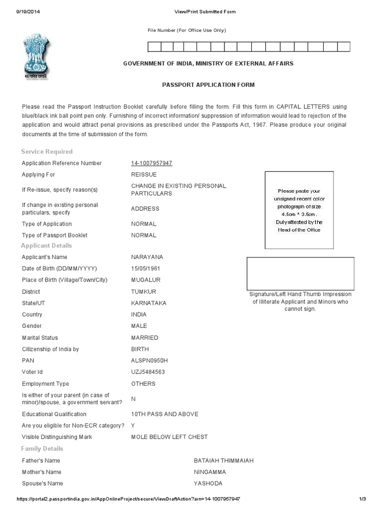 View - Print Submitted Form | PDF | Passport | Official Documents