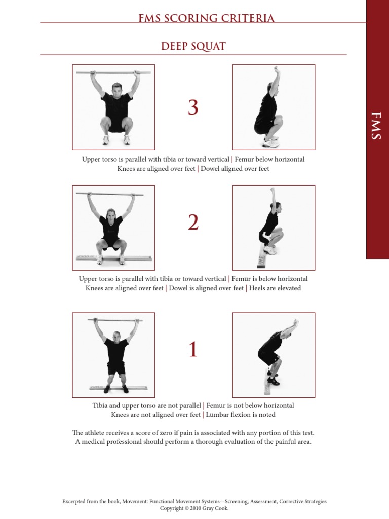 FMS Scoring Criteria | PDF