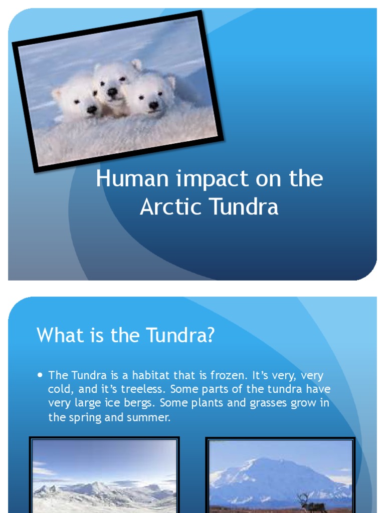 Kids' Guide to Protecting the Tundra | PDF | Social Science | Home & Garden