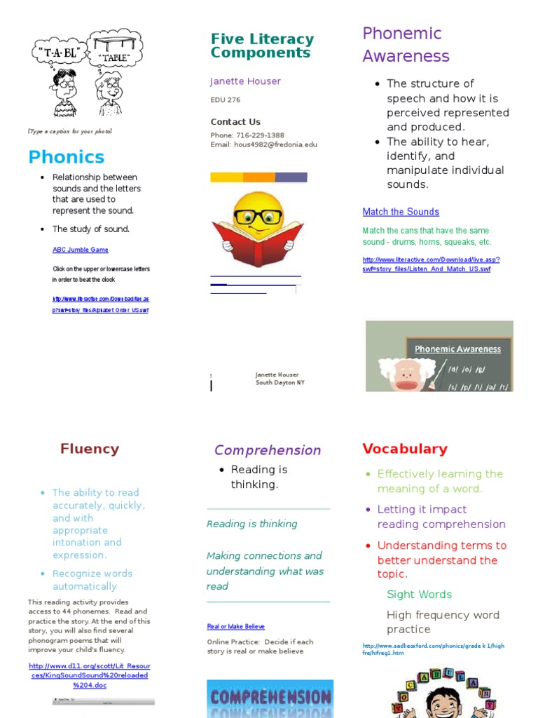 Phonics and Literacy Activities Guide | PDF