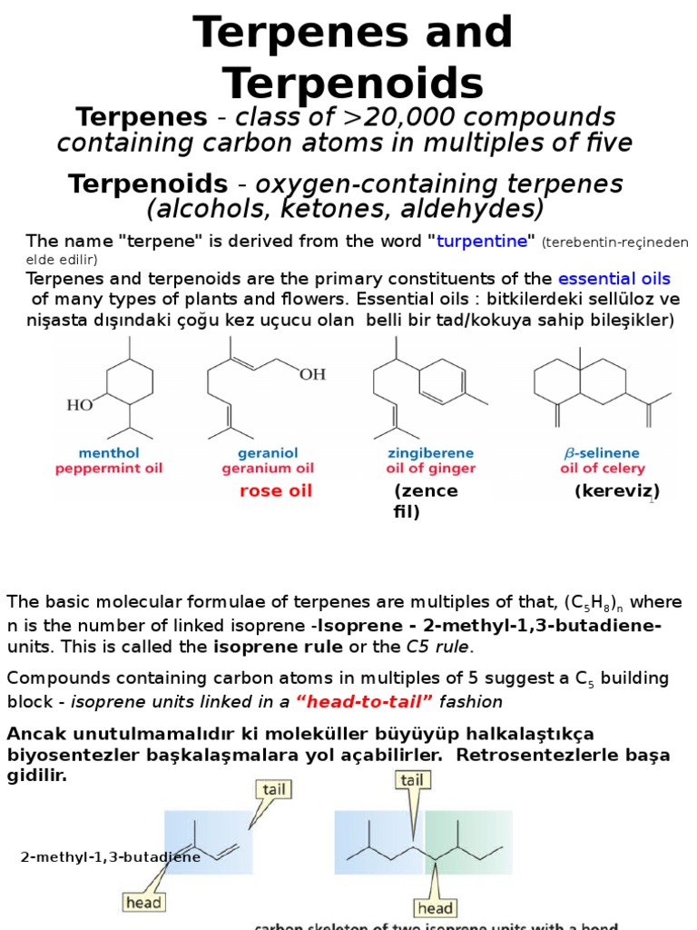 Terpenes and Terpenoids | PDF | Natural Products | Organic Compounds