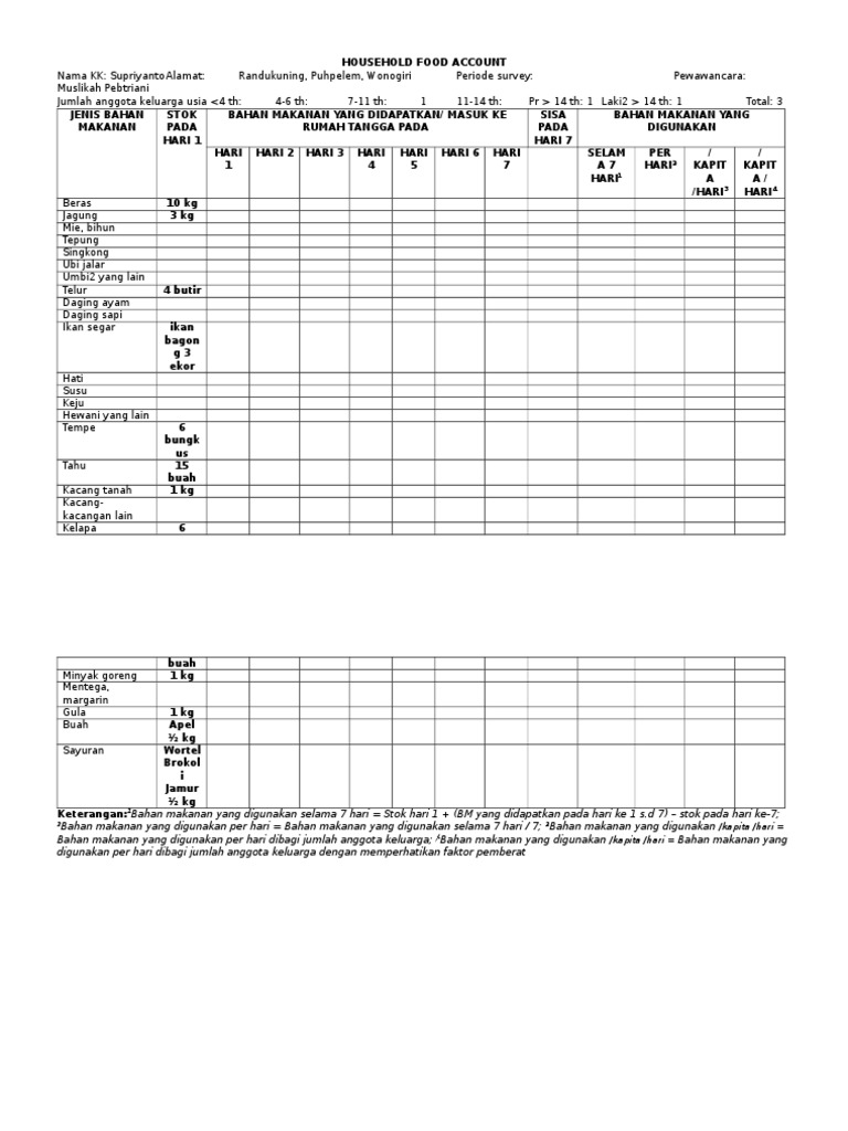 Household Food Account | PDF