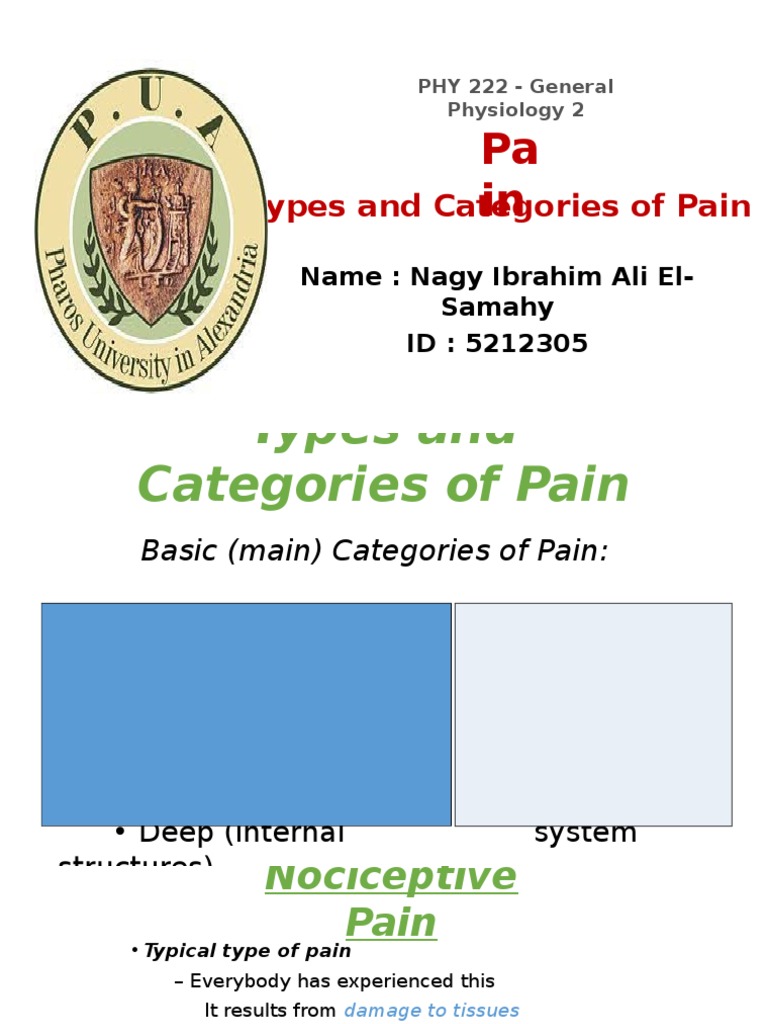 Types and Categories of Pain | PDF | Pain | Peripheral Neuropathy