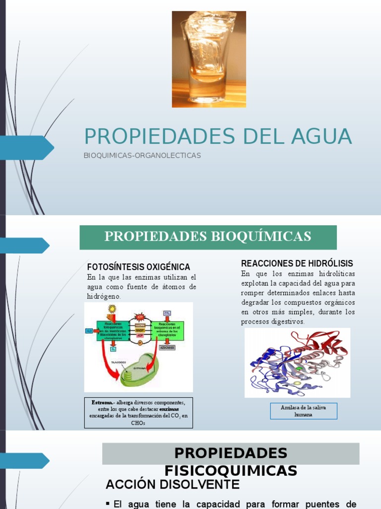 Propiedades Del Agua completas | Agua | Física Aplicada e ...