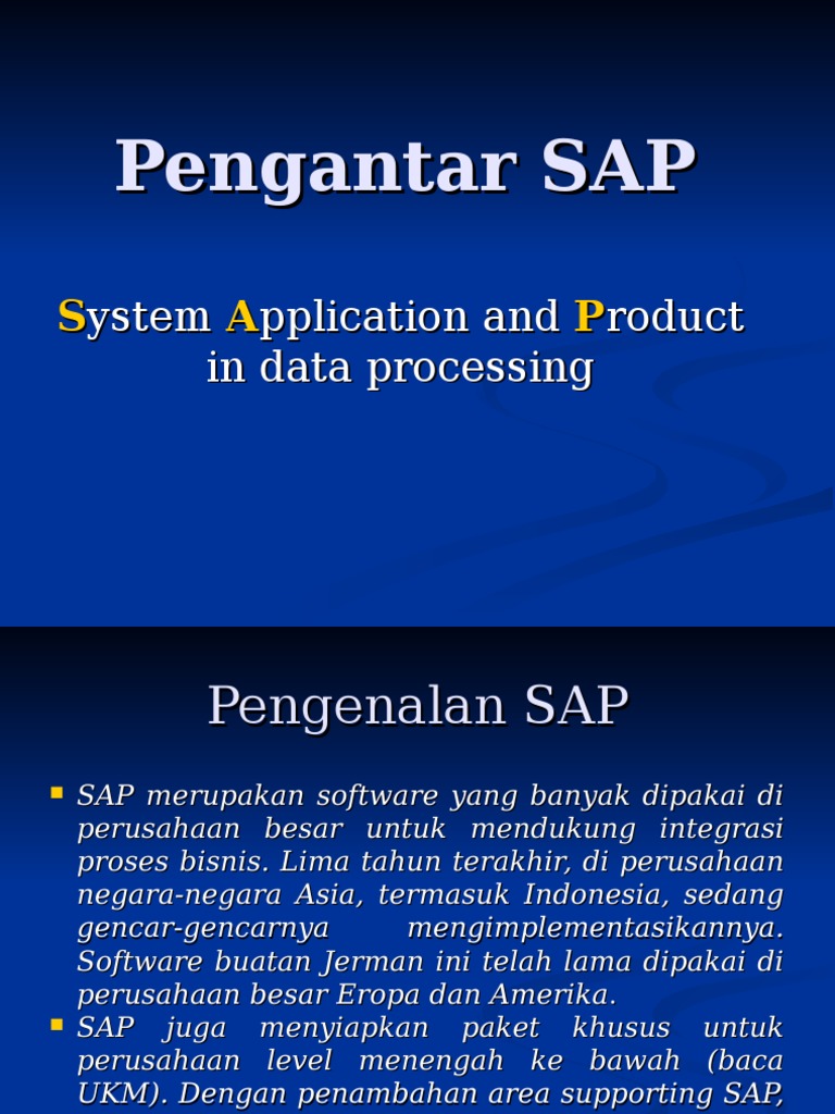 Pengantar SAP | PDF