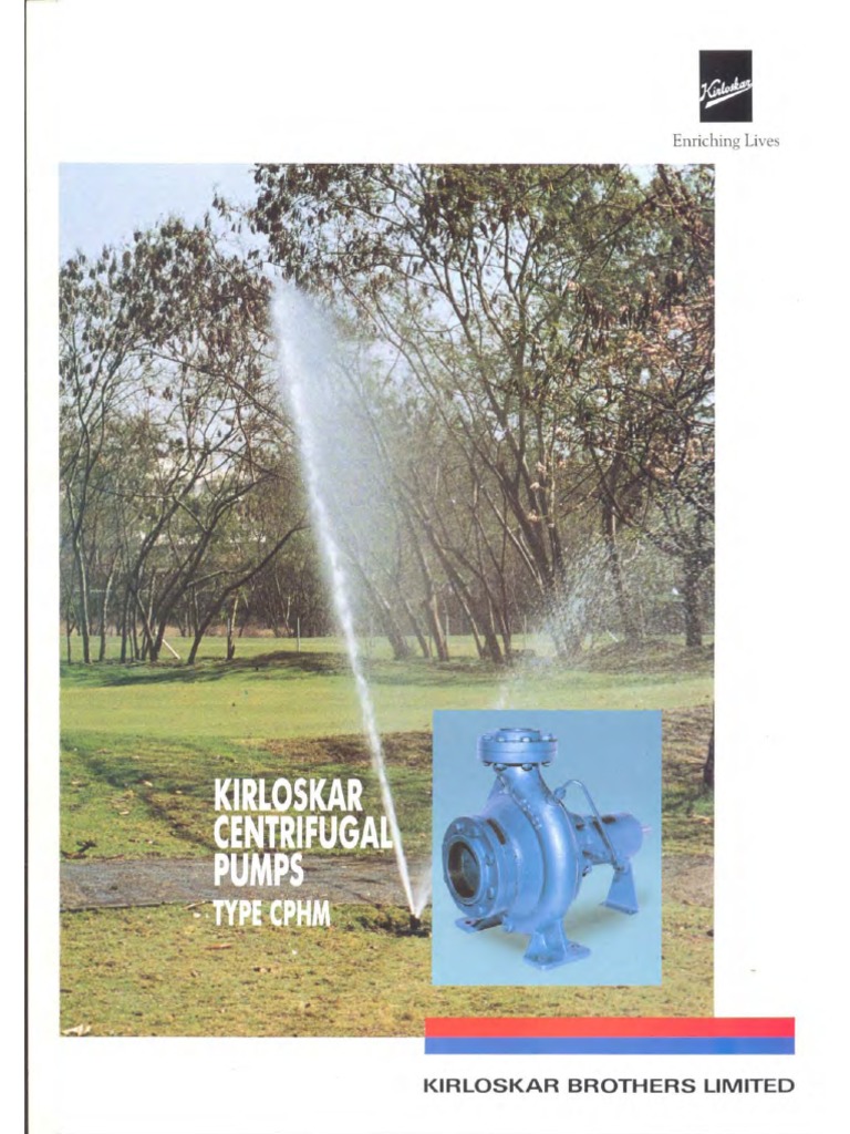 CPHM Pumps | PDF