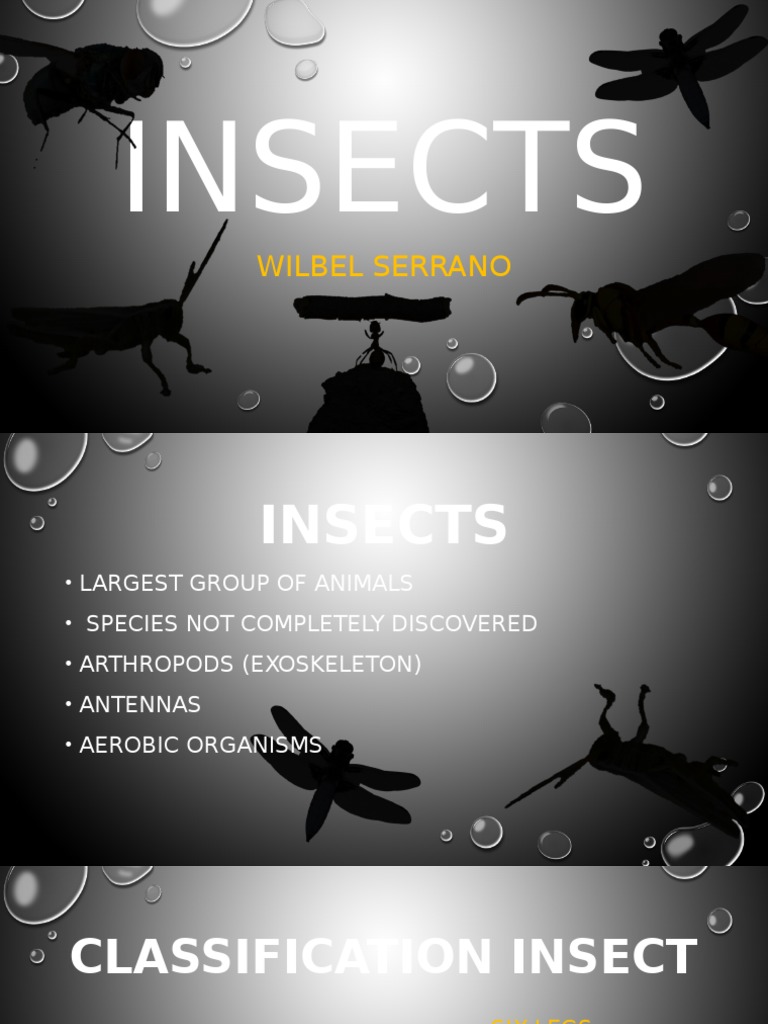 Insect Anatomy and Significance | PDF | Social Science | Home & Garden