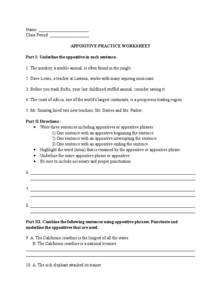 Appositive Worksheet | PDF