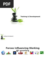 Shell Performance Management System Overview | PDF | Performance ...