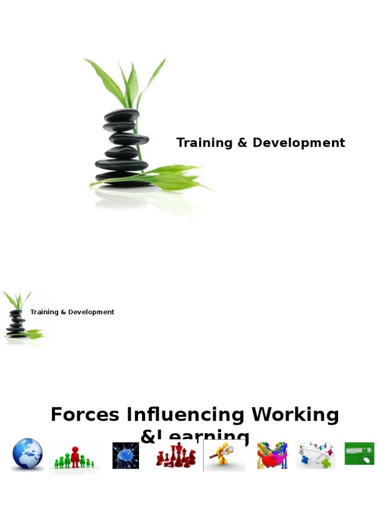 Training & Development-1 | PDF | Strategic Management | Employment
