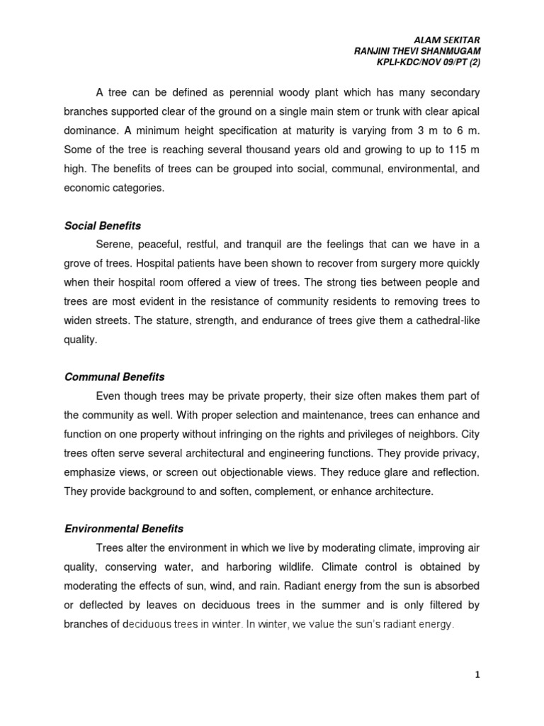 Save Tree, Save Us - Success Report | PDF | Trees | Root