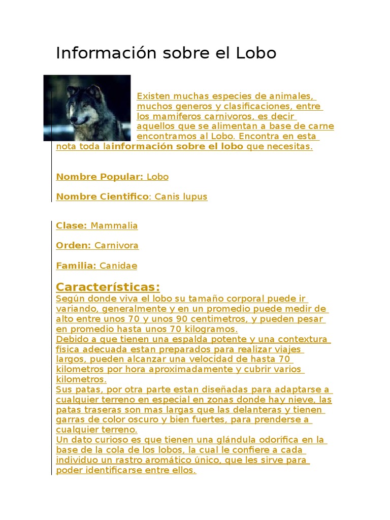 Características y Comportamiento del Lobo | PDF | Lobo gris | Mamíferos