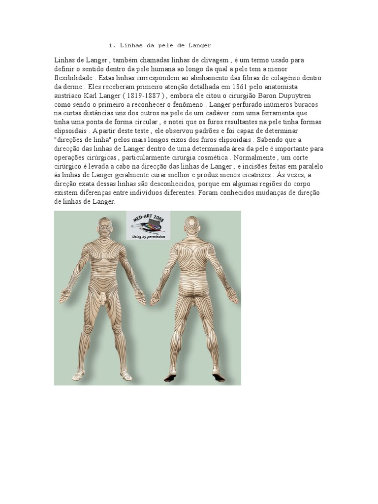 Linhas da pele de Langer.docx