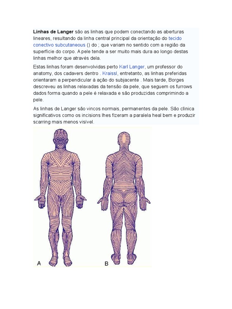 Linhas de Langer São As Linhas Que Podem Extrapolated Conectando As ...