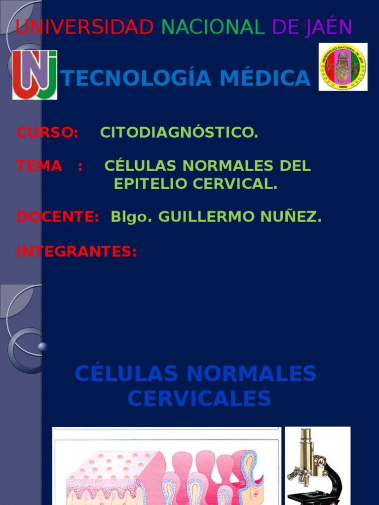 Celulas Normales Cervicales Cito-Diagnostico Citologia | PDF | Epitelio ...